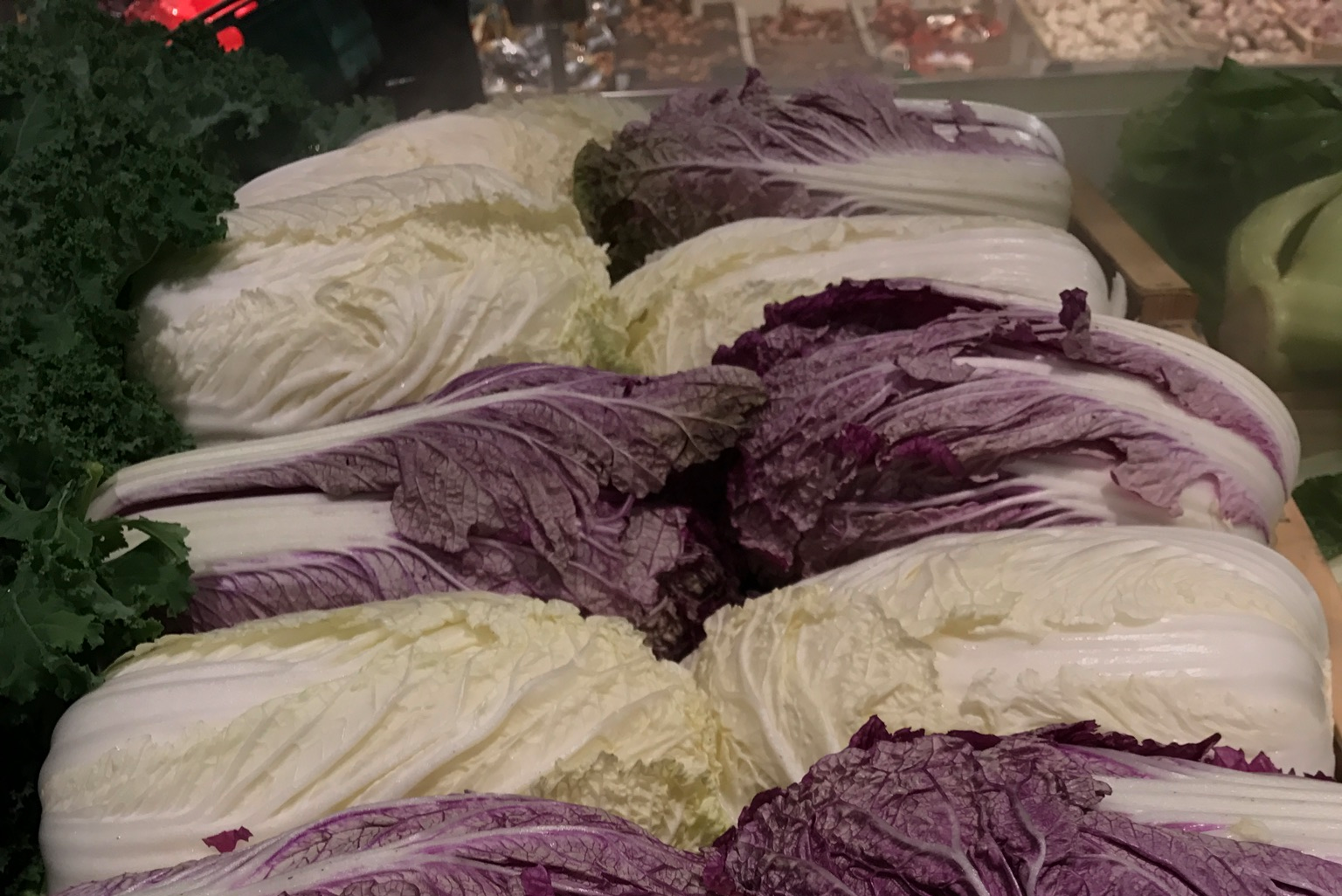 Chinese Cabbage - Red Dragon | Red Wagon Plants | Vermont Grown ...