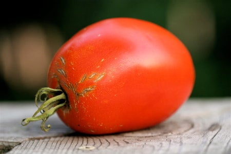 Plum - Amish Paste | Red Wagon Plants | Vermont Grown Vegetables + Plants