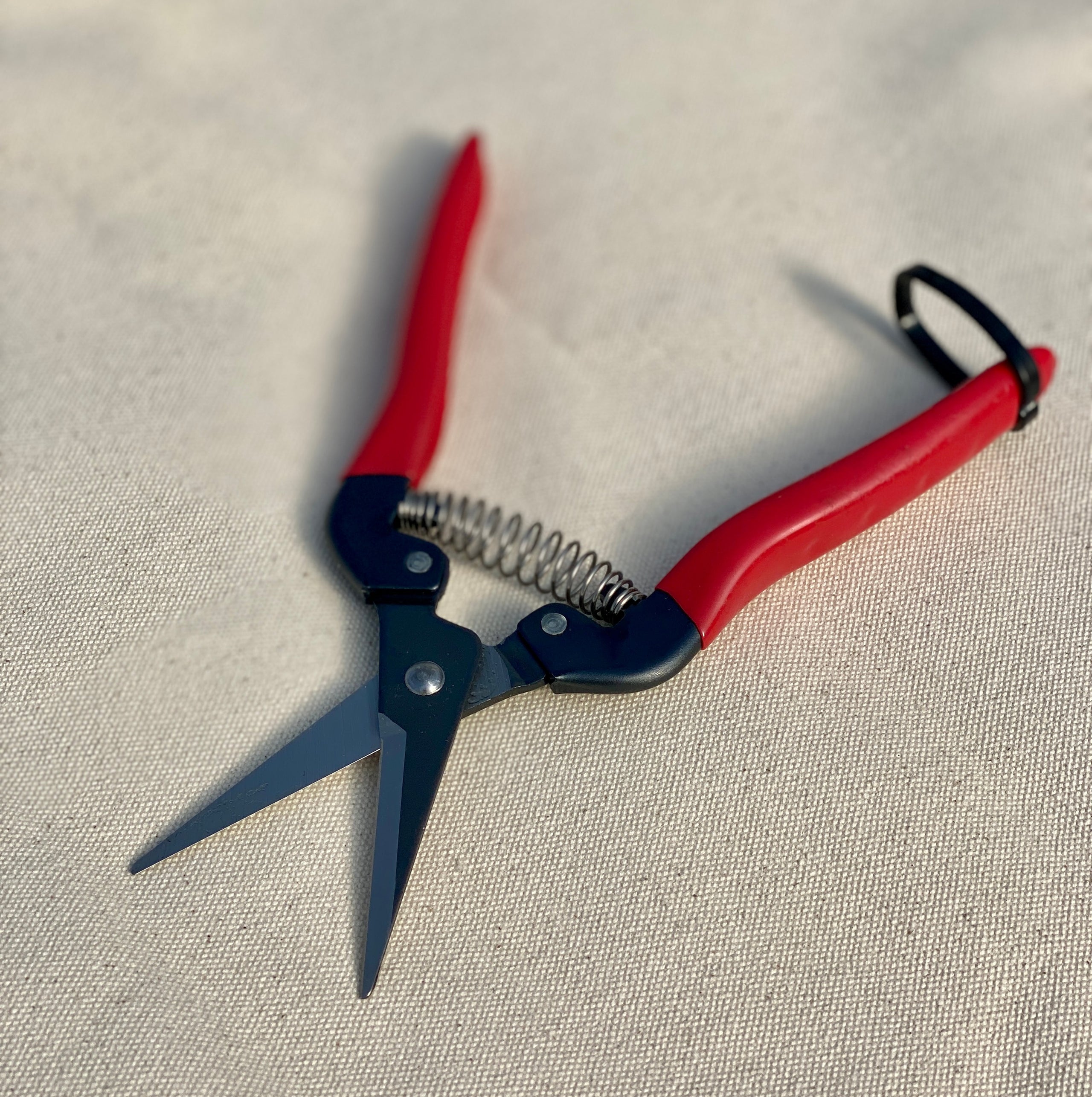 Pruners | Red Wagon Plants | Vermont Grown Vegetables + Plants