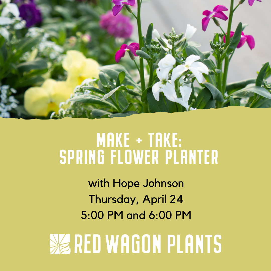 4/24/25 Make + Take: Spring Flower Planter - 5PM class | Red Wagon Plants | Vermont Grown ...